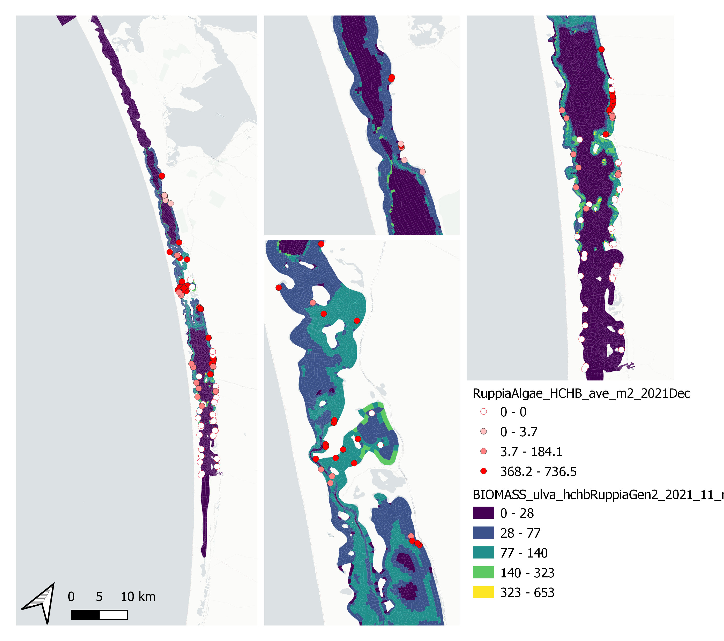6 Macroalgae | The Coorong Dynamics Model