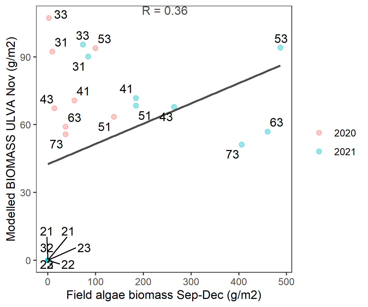 6 Macroalgae The Coorong Dynamics Model